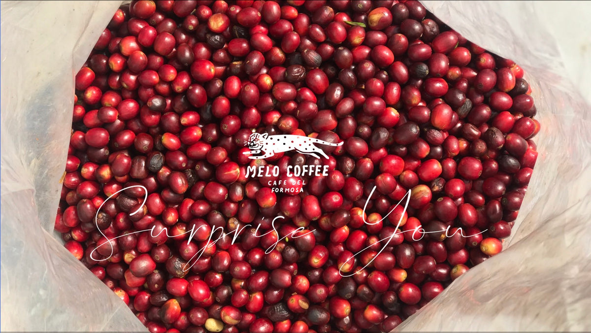 Natural Beans 50g – Melo Coffee